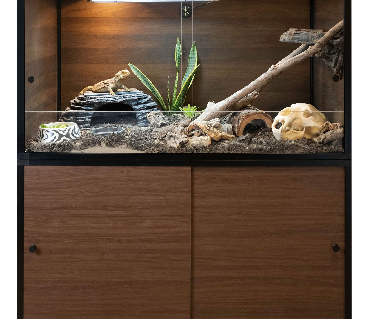 Lifting Your Reptile Enclosure Off the Ground Makes Your Pet Feel Safe ...