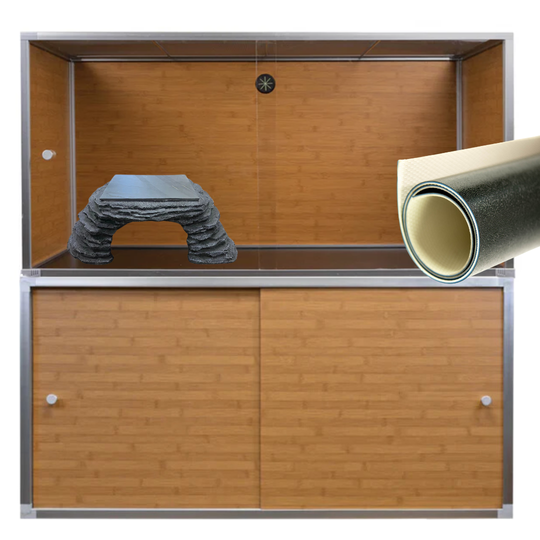 How to Set Up a Quarantine Enclosure for Your Reptile – Zen Habitats