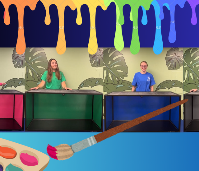 How to Paint Your Zen Habitats Reptile Enclosure | Reptile Safe Custom