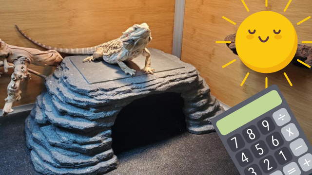 Reptile UVB Calculator – Zen Habitats