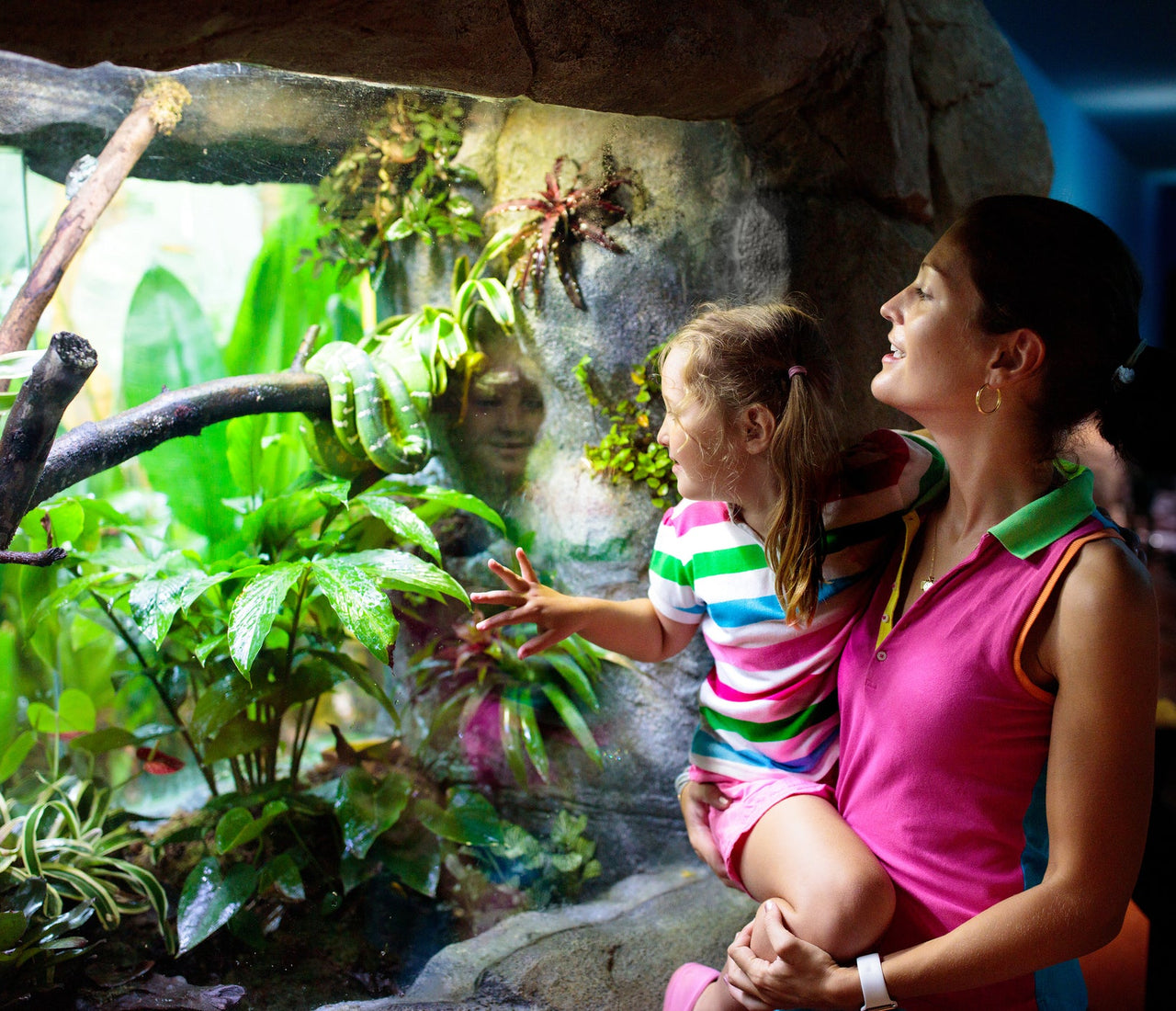 A Guide to Humane Care for Reptiles | The Five Freedoms of Animal Welf ...