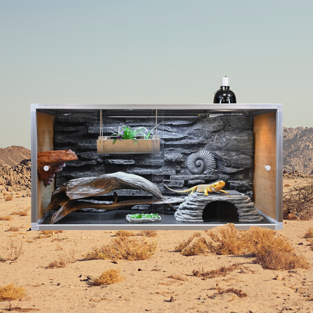 Reptile Enclosures - Habitats for Lizards and Snakes | Zen Habitats