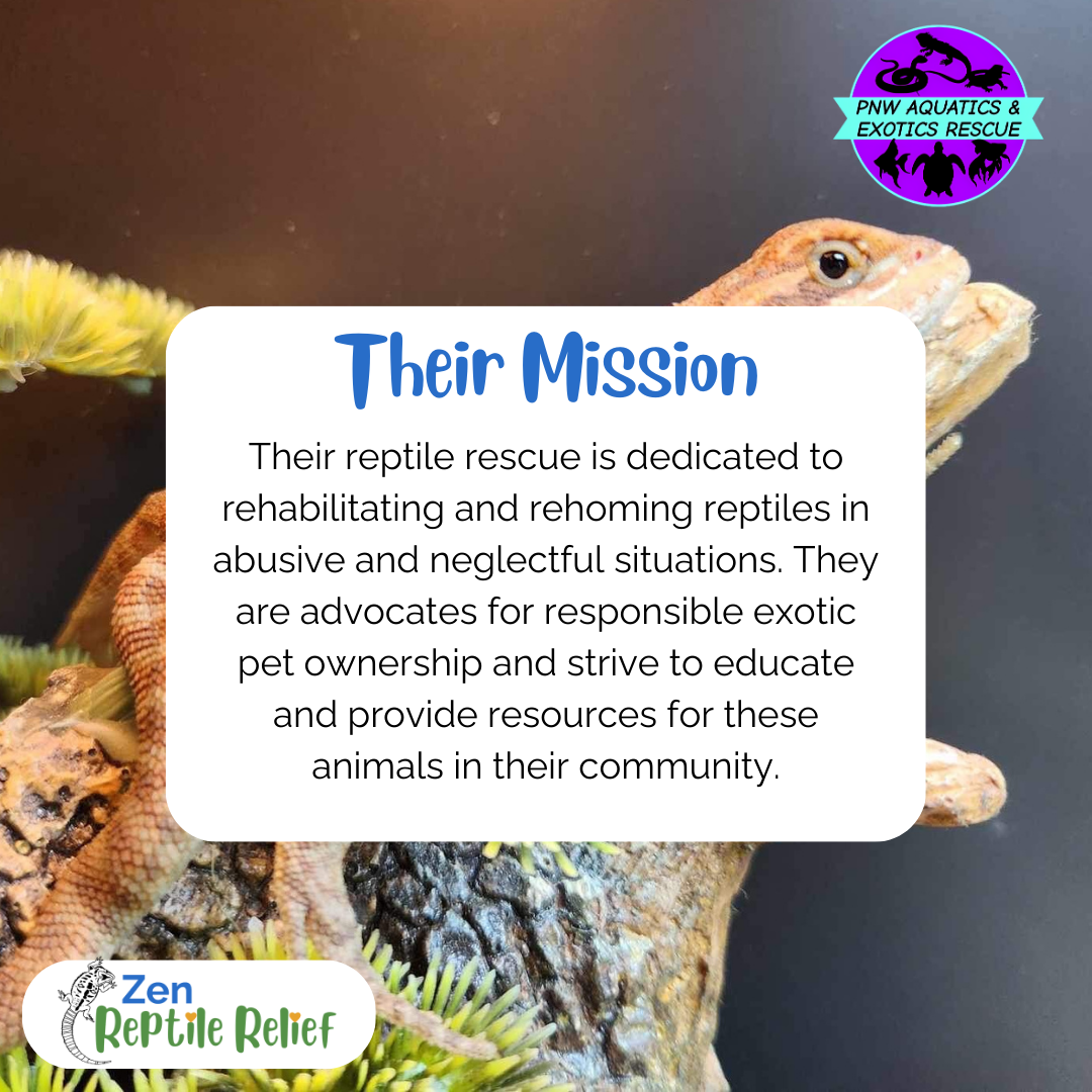 Support Zen Reptile Relief – Zen Habitats