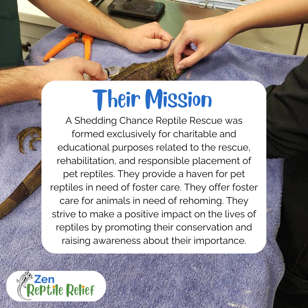 Support Zen Reptile Relief – Zen Habitats