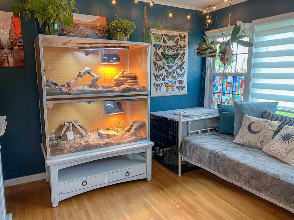 High-Quality 120-Gallon Reptile Enclosures by Zen Habitats