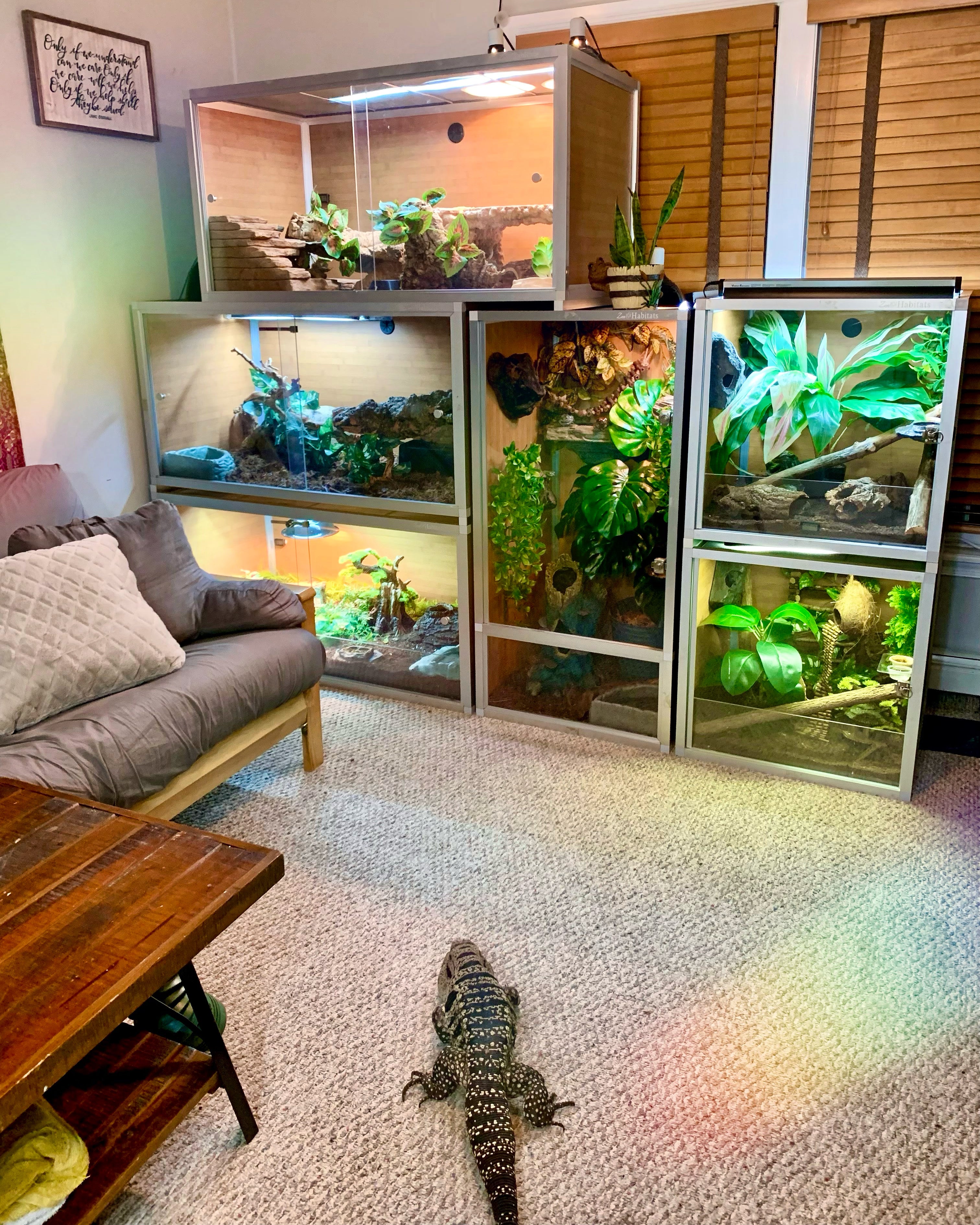 High-Quality 120-Gallon Reptile Enclosures by Zen Habitats
