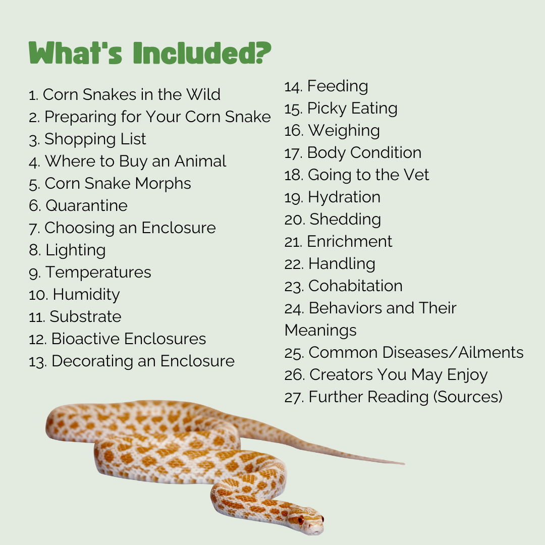 The Ultimate Zen Guide to Corn Snakes - Revised August 2024 – Zen Habitats