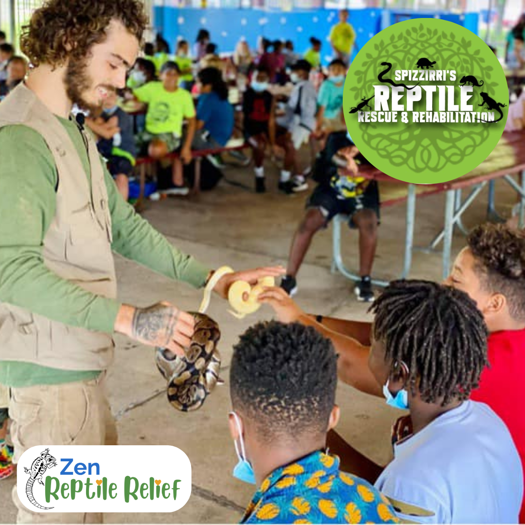 Support Zen Reptile Relief – Zen Habitats
