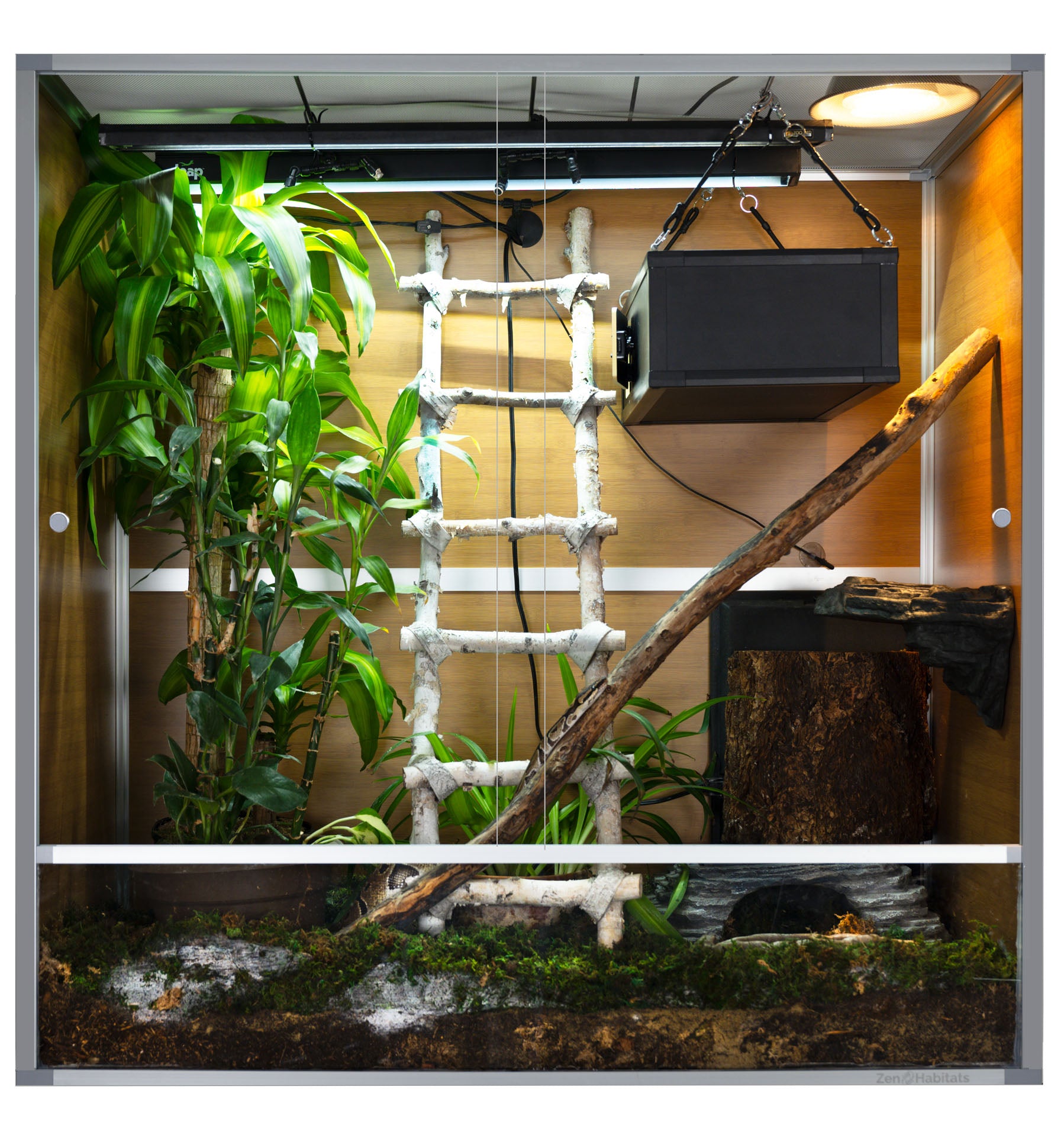 Reptile Enclosures - Habitats for Lizards and Snakes | Zen Habitats