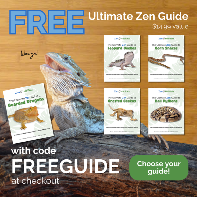 Deals going on now! – Zen Habitats