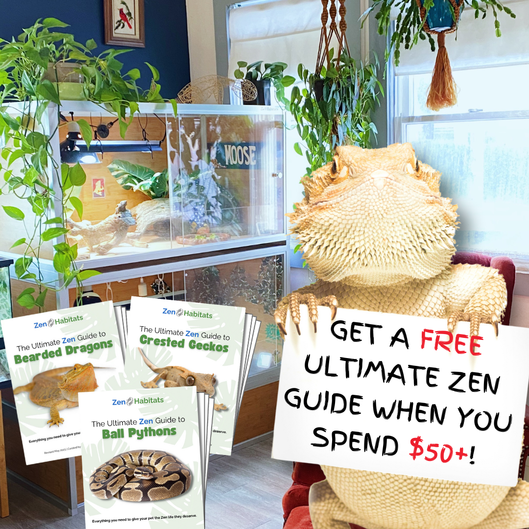 Deals going on now! – Zen Habitats