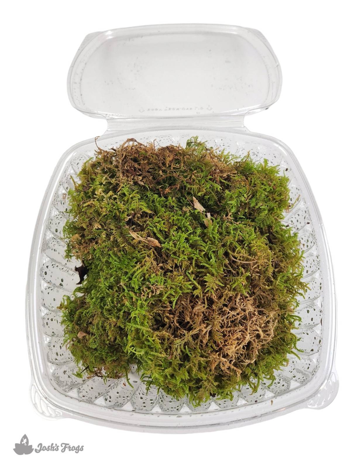 Fresh Sheet Moss (2 quart) – Zen Habitats