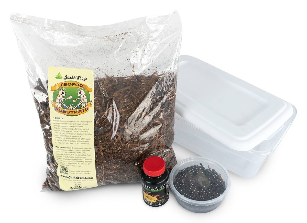 Isopod Culture Kit – Zen Habitats