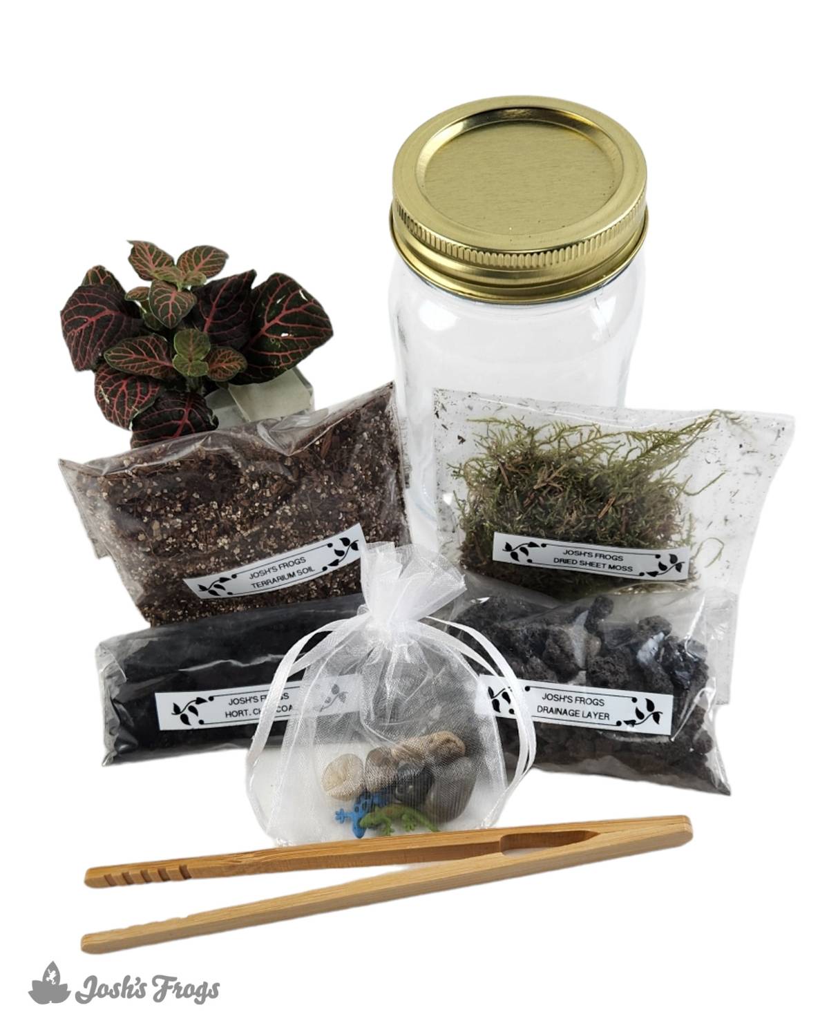 Nature Connection Kit: Mason Jar Terrarium – Zen Habitats