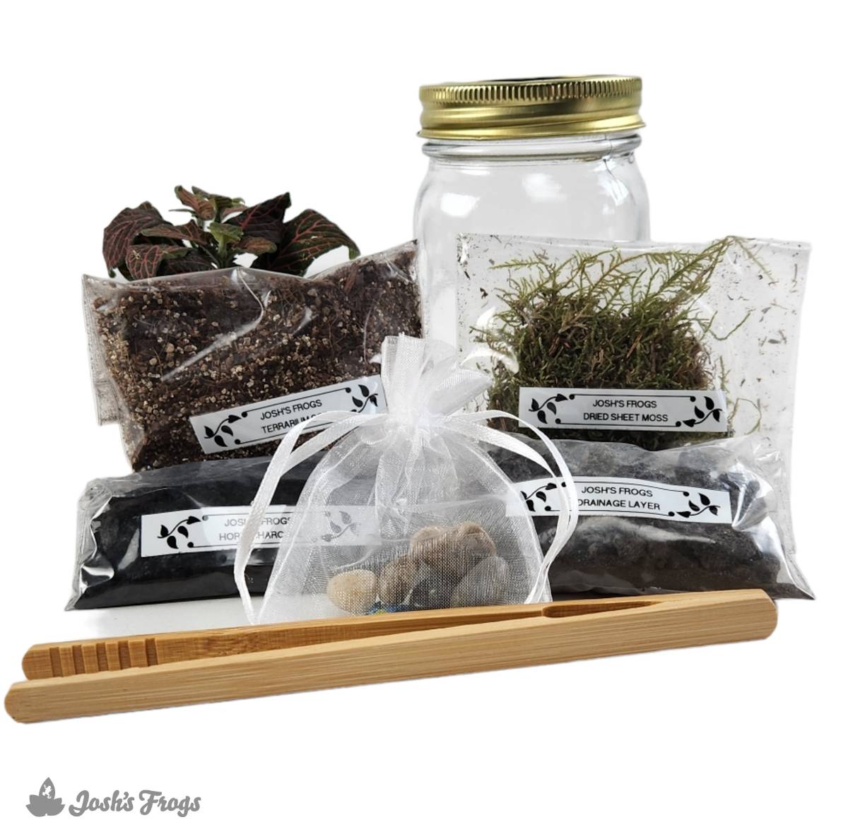 Nature Connection Kit: Mason Jar Terrarium – Zen Habitats