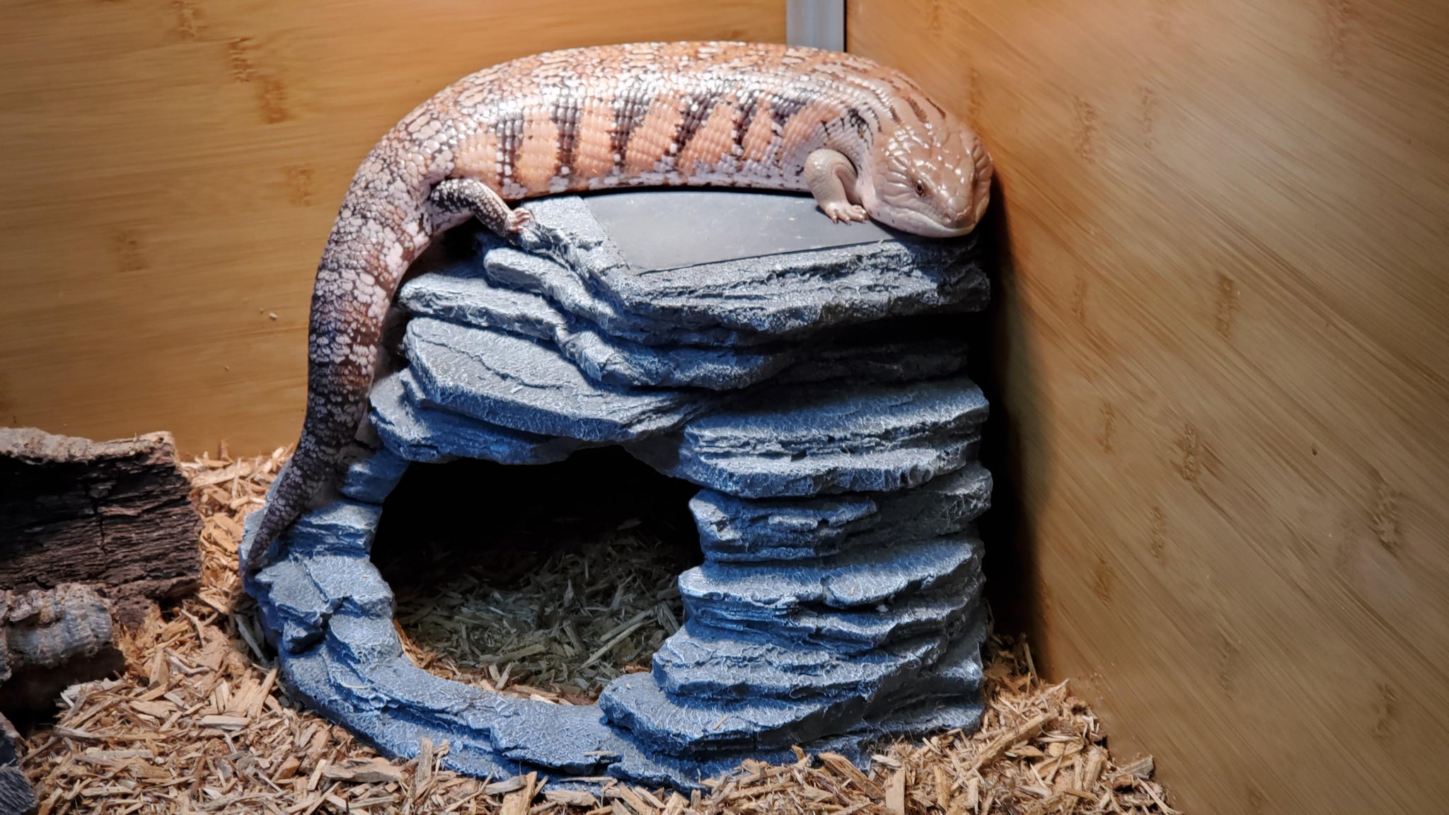 Basking Slatestone Corner Zen Cave | Zen Habitats