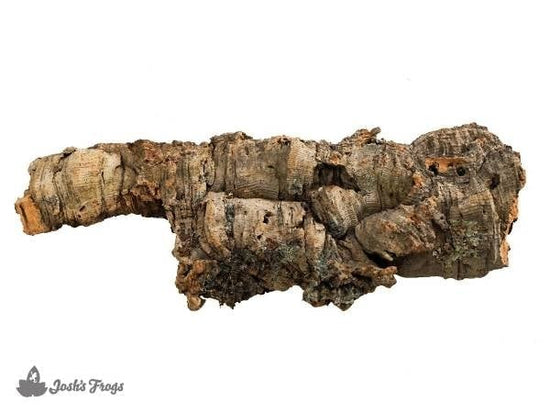 Ball Python Bioactive Tankless Kit (for 4'x2'x2' enclosure) – Zen Habitats